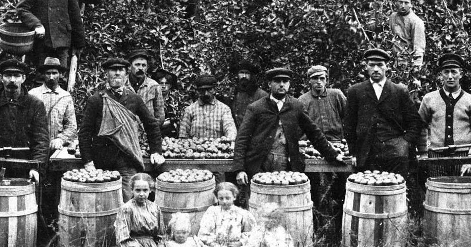 South Haven and the Fruit Industry: A Success Story | Visit South Haven