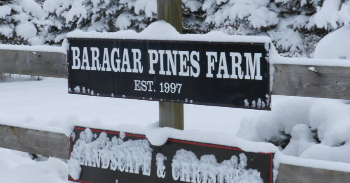 Baragar Pines Farm | Visit South Haven