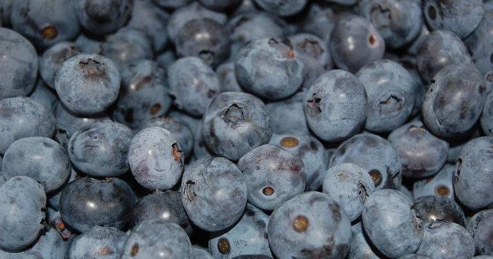 Brookside Farms | Visit South Haven