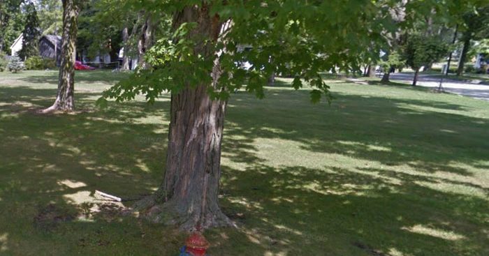 Hartman Park | Visit South Haven