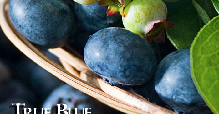 True Blue Farms | Visit South Haven