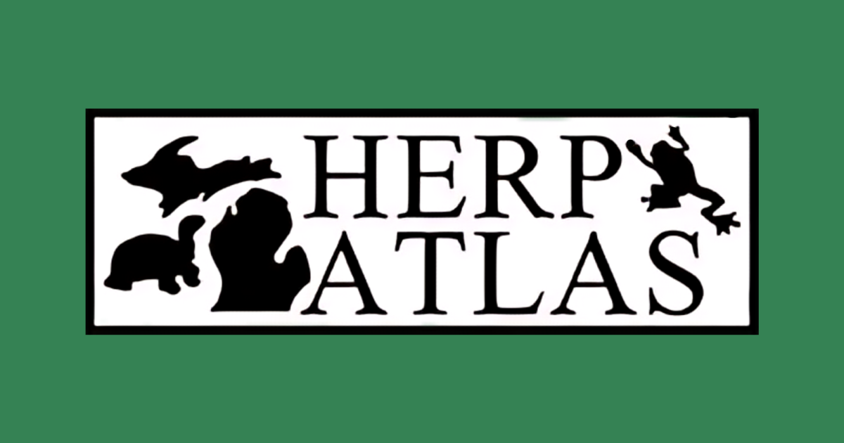Michigan Herp Atlas Project | Visit South Haven