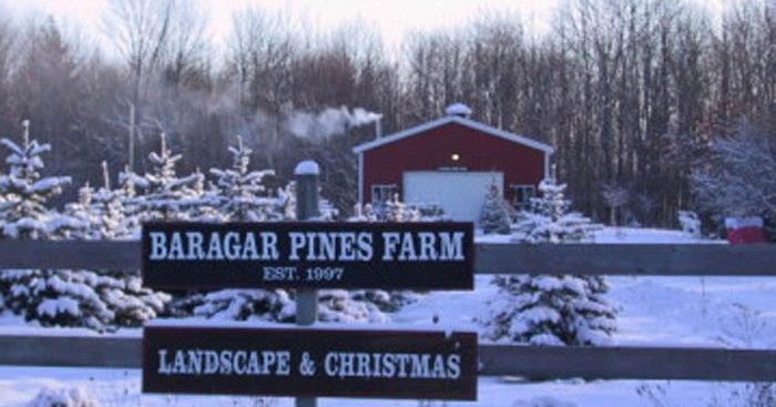 Baragar Pines Farm | South Haven Visitors Bureau